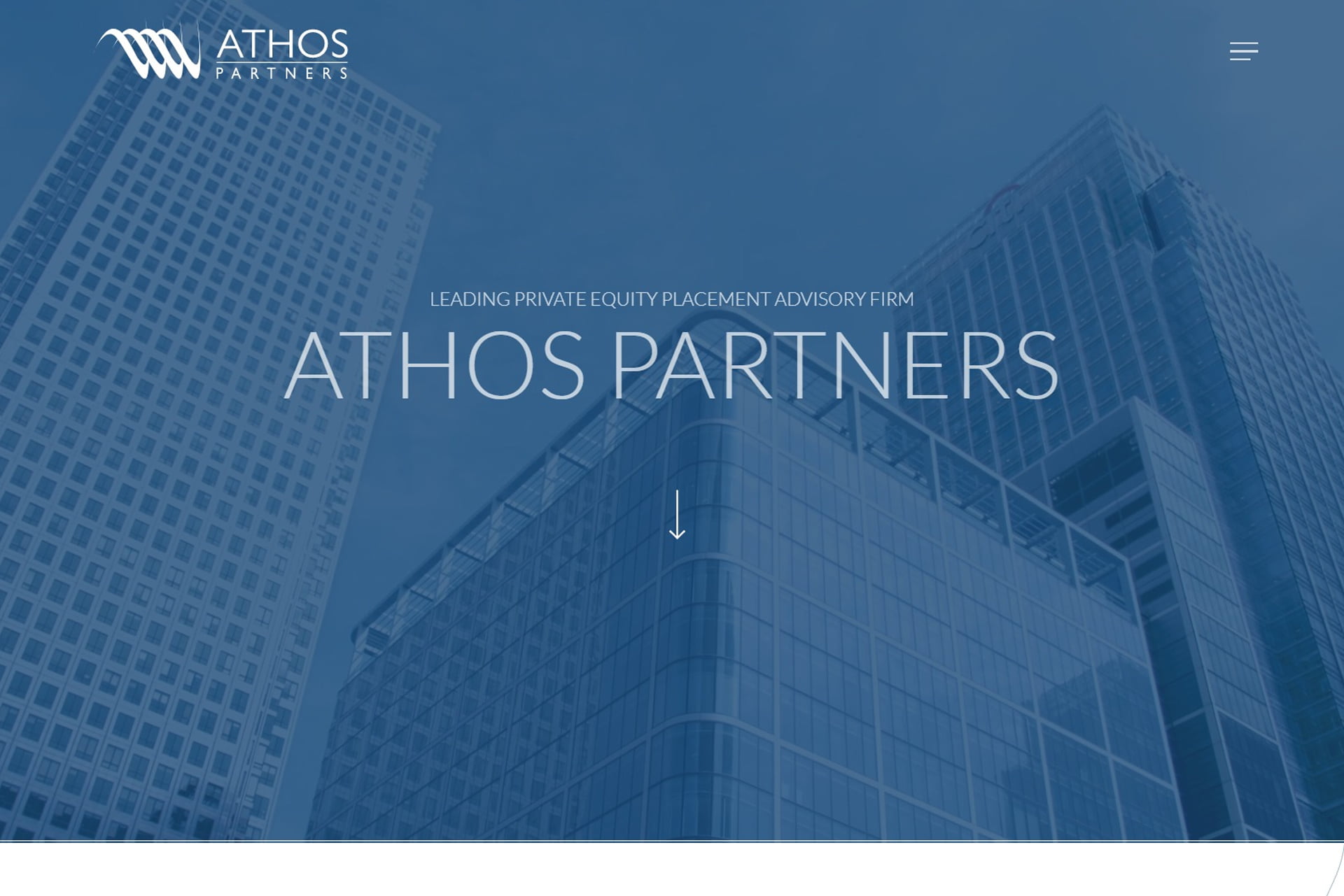Athos Partners Case Study - Bird Marketing